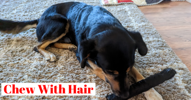 Benefits of chews with hair - Pet Sitting | Dog Walking